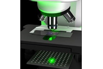 Tweaks Turn Microscope Into Billion-Pixel Imager