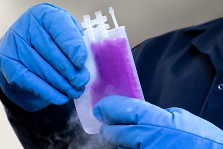 Four Common Types Of Cryogenic Studies For Advanced Therapies