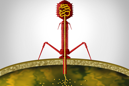 Phages As A Pharmaceutical New EMA Guidance On Antimicrobial Drug ...