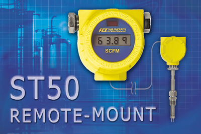 Economical Remote Mount Thermal Mass Flow Meter For Hazardous Areas Or ...