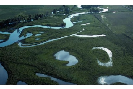 Wetland Enhancement In Midwest Could Help Reduce Catastrophic Floods Of ...