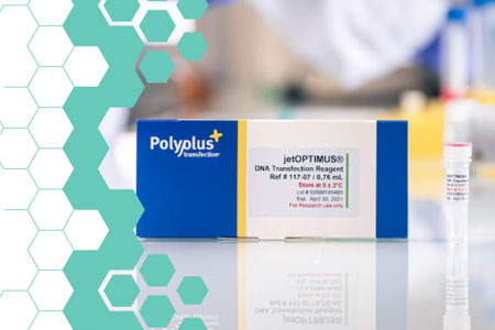 Best-In-Class DNA Transfection Reagent jetOPTIMUS