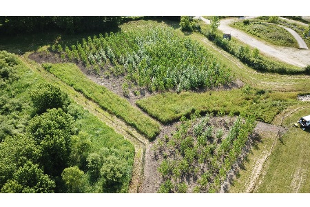 Landfills Full Of Dangerous Pollutants MU Researchers Can Tell You ...