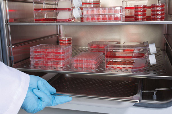 Galaxy 170 S CO2 Incubator