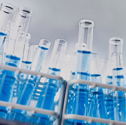 What Is An IND And Why Do I Need One