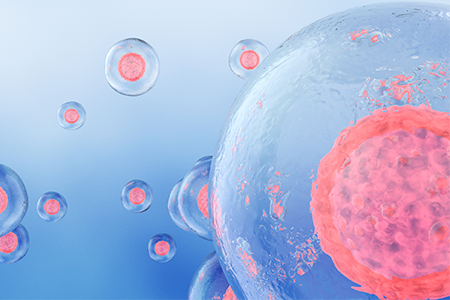Cell Therapy Lot Release Package