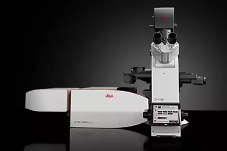 Fast Imaging Beyond The Diffraction Limit With STELLARIS STED Microscopes