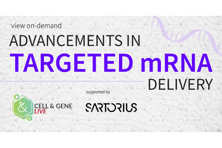 Breakdown Of Cell Gene Live Advancements In Targeted mRNA Delivery