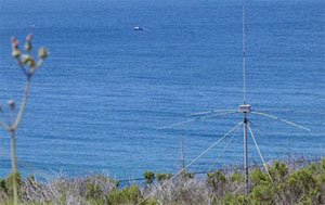 International Radio Conference Approves Bandwidth To Track Ocean ...