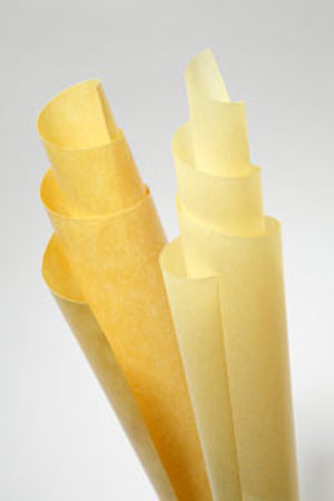 Kermel's INSULRIGHT Paper For Thermal And Electrical Insulation