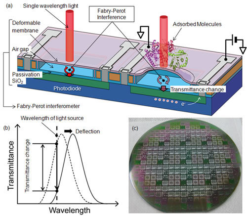 Biosensor Based On A Microelectromechanical System Integrated With A ...