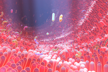 Bear Biotech Market Dampens Promise Of Live Biotherapeutics