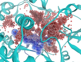 Supercomputer Reveals New Details Behind Drug-Processing Protein Model