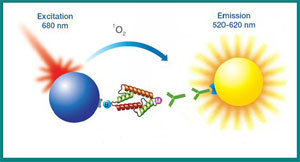 Homogeneous Assay Kits Minimize Assay Complexity