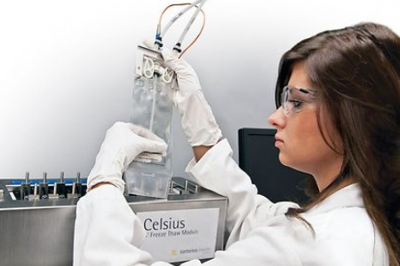 Celsius Bags For Frozen Storage And Shipping