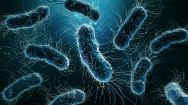 Breakthrough In Fighting Legionnaires'