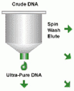 DNA Clean & Concentrator-5