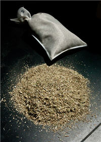 Team Looks To The Cow Rumen For Better Biofuels Enzymes