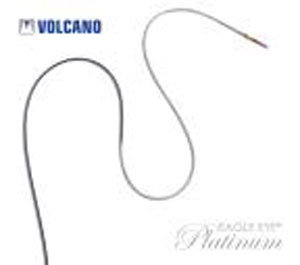 Physicians Cite Positive First Clinical Experience With Volcano's Eagle ...