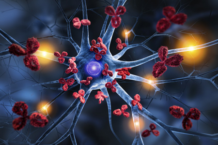 Resetting The Immune System For Lasting Remission