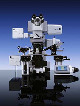 Carl Zeiss Launches Twin-Scanner Multiphoton Microscope