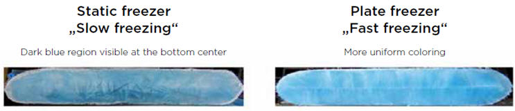 Freezing And Thawing Of Protein Solution