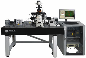 International Research Team Relies On Andor Revolution XD Confocal ...