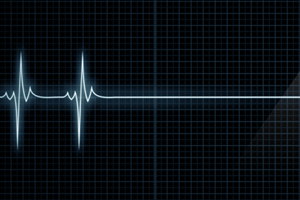 Articles By Kip Wolf