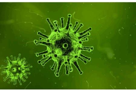 The Millions Of Microbial Species We Ignore At Our Peril We Are ...