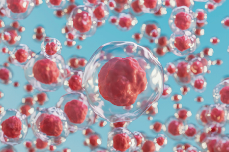 Bioprocess Development For Cord Blood MSCs On Microcarriers In Vertical ...