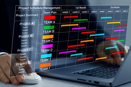 Defining Strong Program Management In CDMO Partnerships
