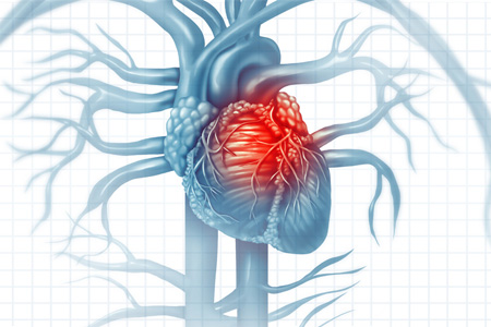 Physics To Genetics New Treatments For Hereditary Heart Disease
