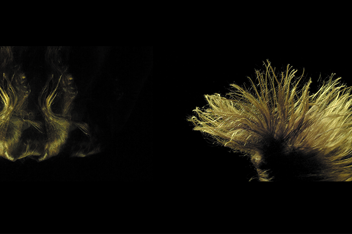 Cinematic Revolution In Human Movement