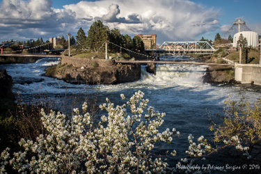 EPA Water Standards Create Uncertainty For Rule To Reduce PCBs ...