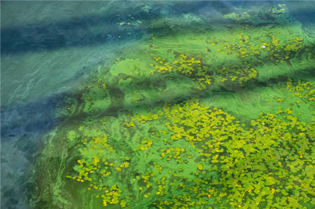 EPA Researchers Analyze 30 Years Of Data To Understand How Warming ...