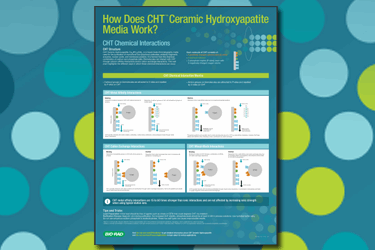 How Does CHT Ceramic Hydroxyapatite Media Work