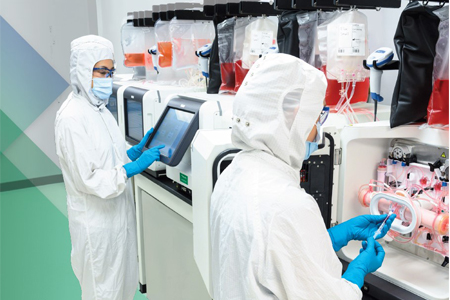 The Quantum Flex Cell Expansion System: Expansion Of Adherent Cells ...