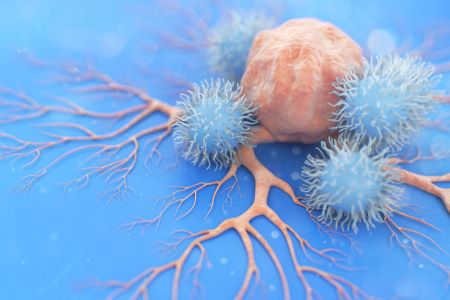 Harnessing The Power Of the Innate Immune System In Cancer Research