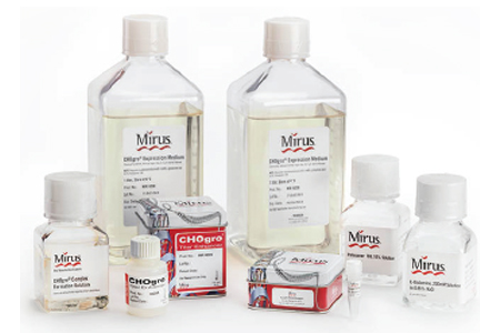 High Yield Protein Production System For Suspension CHO Cells