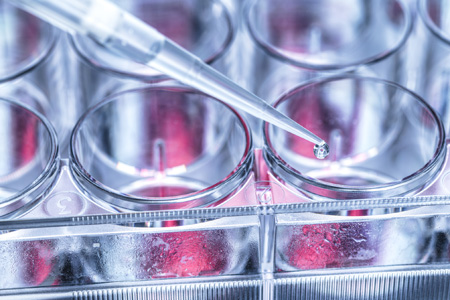 Manufacturing Biotherapeutics Based On Synthetic Biology Lessons Learned