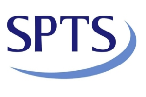 Epitaxial SiC Films Grown On 300mm Si Wafers