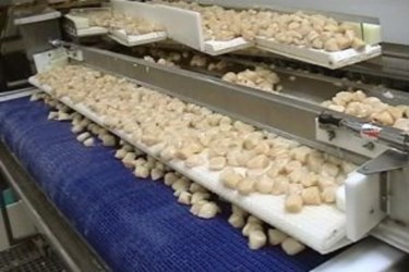 New Scallop Processing Line For Eastern Fisheries