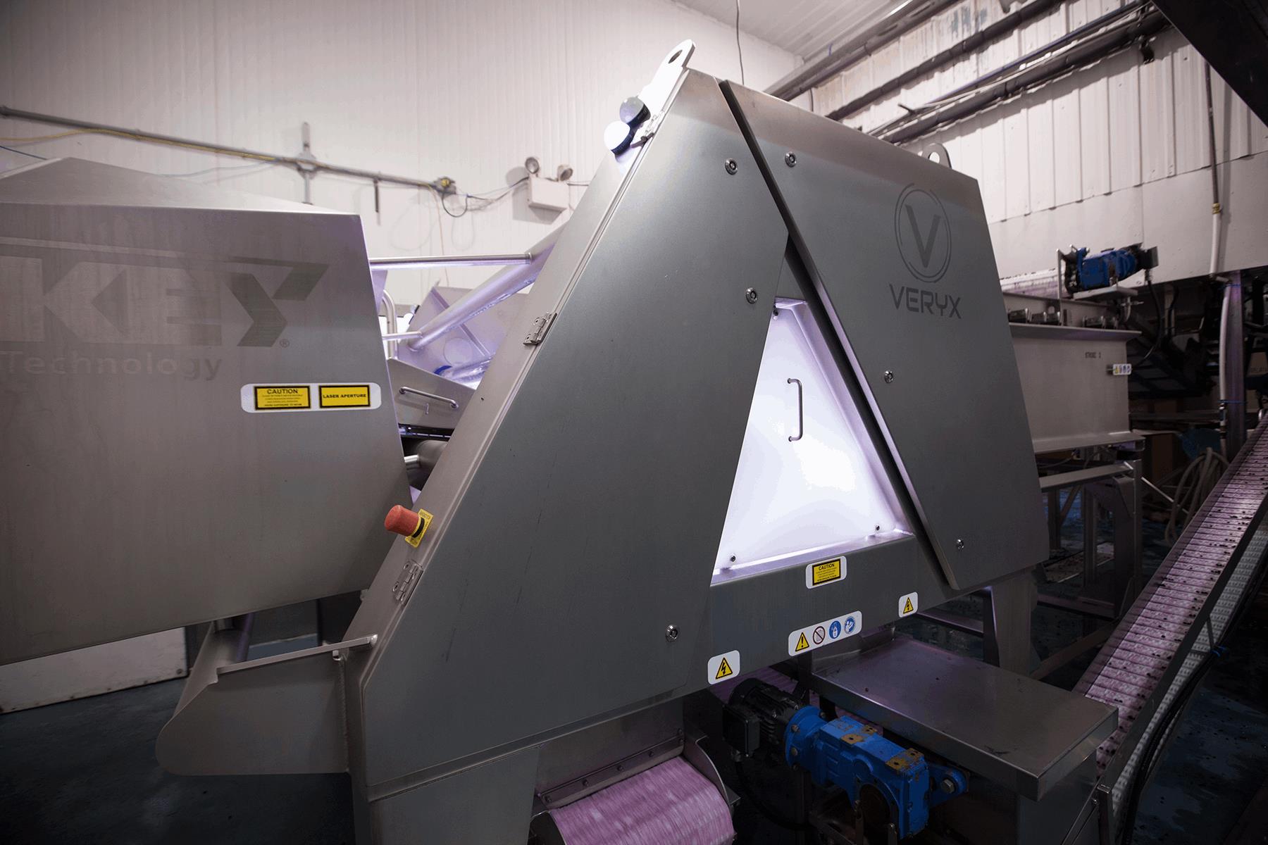 Quebec Wild Blueberries Installs VERYX Sorter from Key Technology for ...