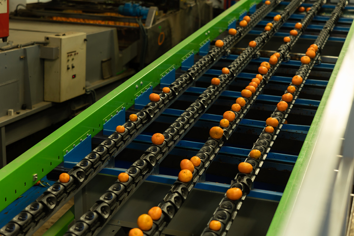 Food And Beverage: Lenses For Food Sorting