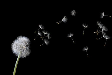 Beyond Cell Expansion Building A Commercial CGT Manufacturing Framework