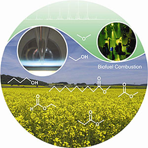 Biofuel Combustion Chemistry More Complex Than Petroleum-Based Fuels ...