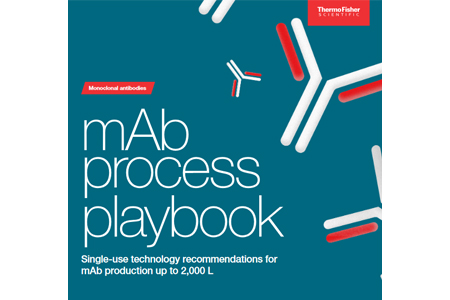 mAb Process Playbook Interactive Brochure