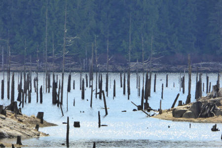 Climate Change, Pollution, And Urbanization Threaten Water In Canada
