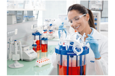 Bioprocess Development For Biosimilar Production