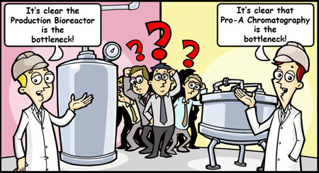 Biomanufacturing Debottlenecking And Process Optimization